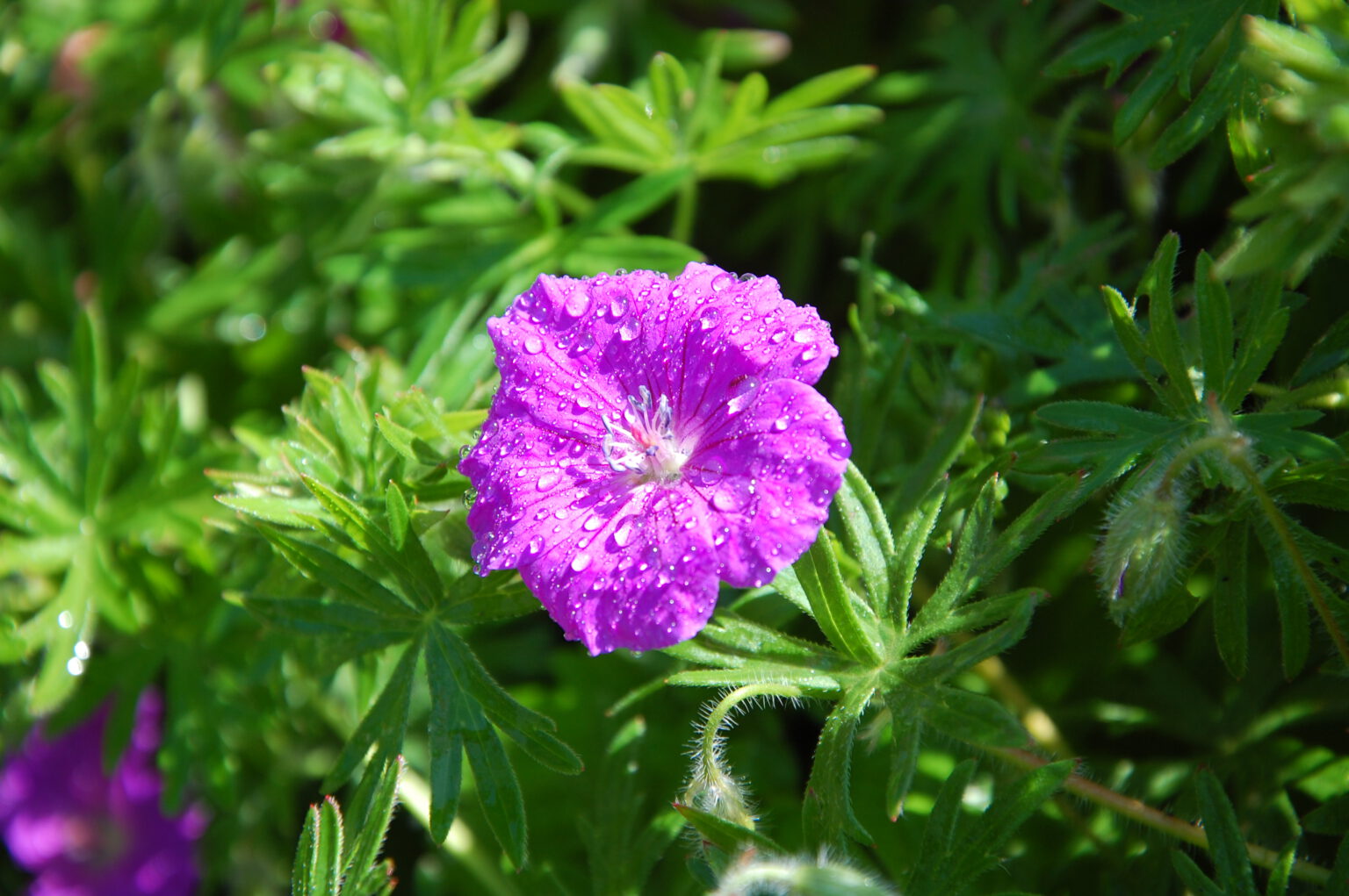 Using Apache Kafka for transferring files – tsmx